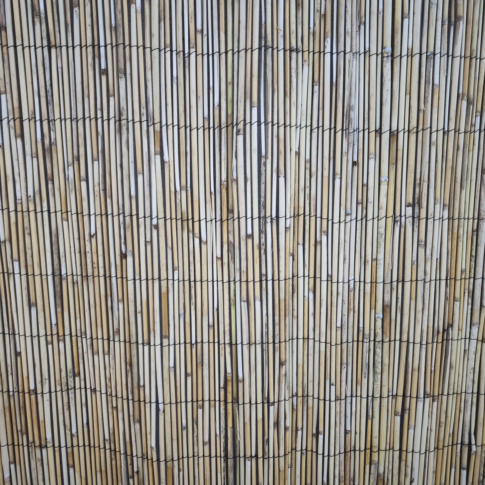 Reed Fencing – Bamboo Toronto Store