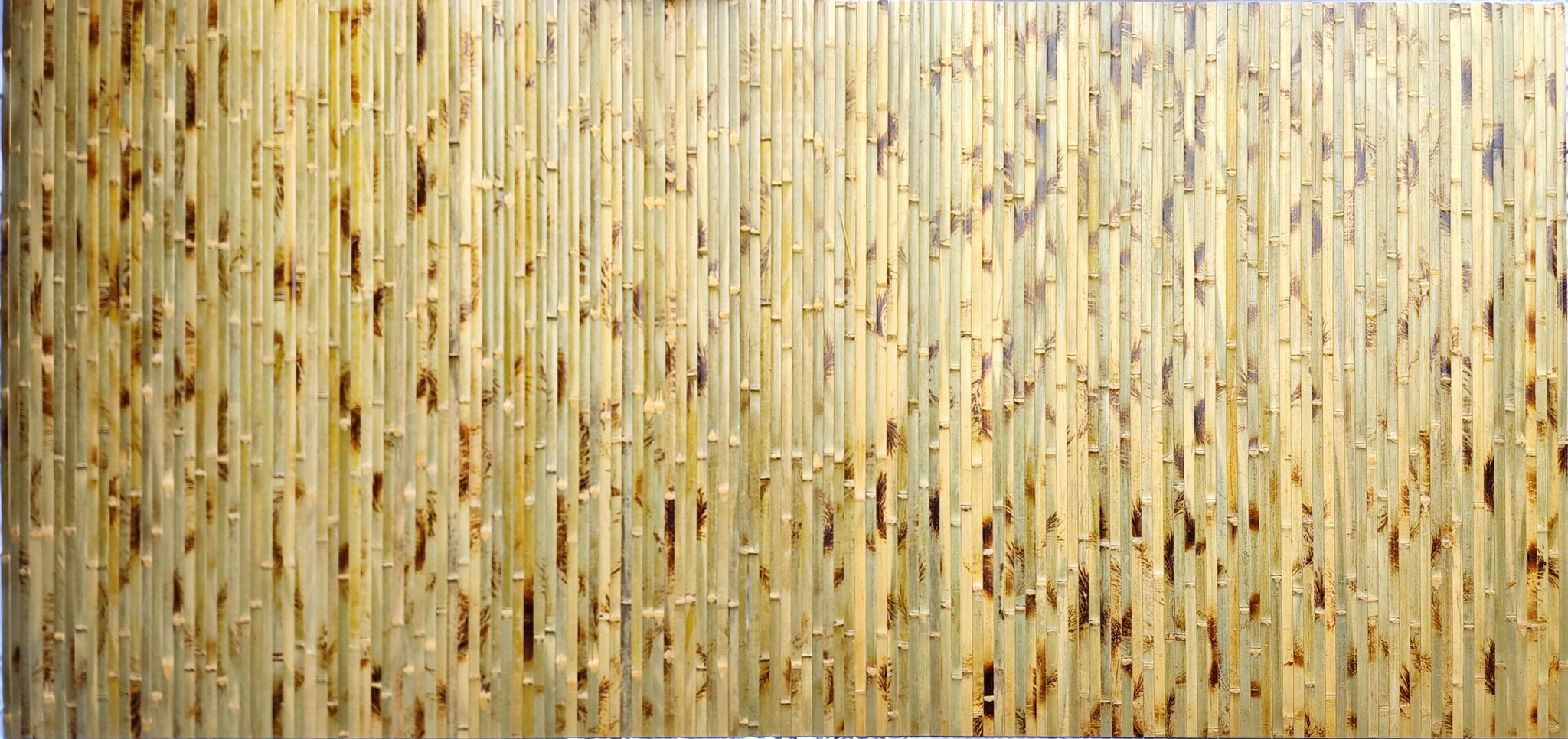 Bamboo Wall Paneling | Bamboo Toronto Store