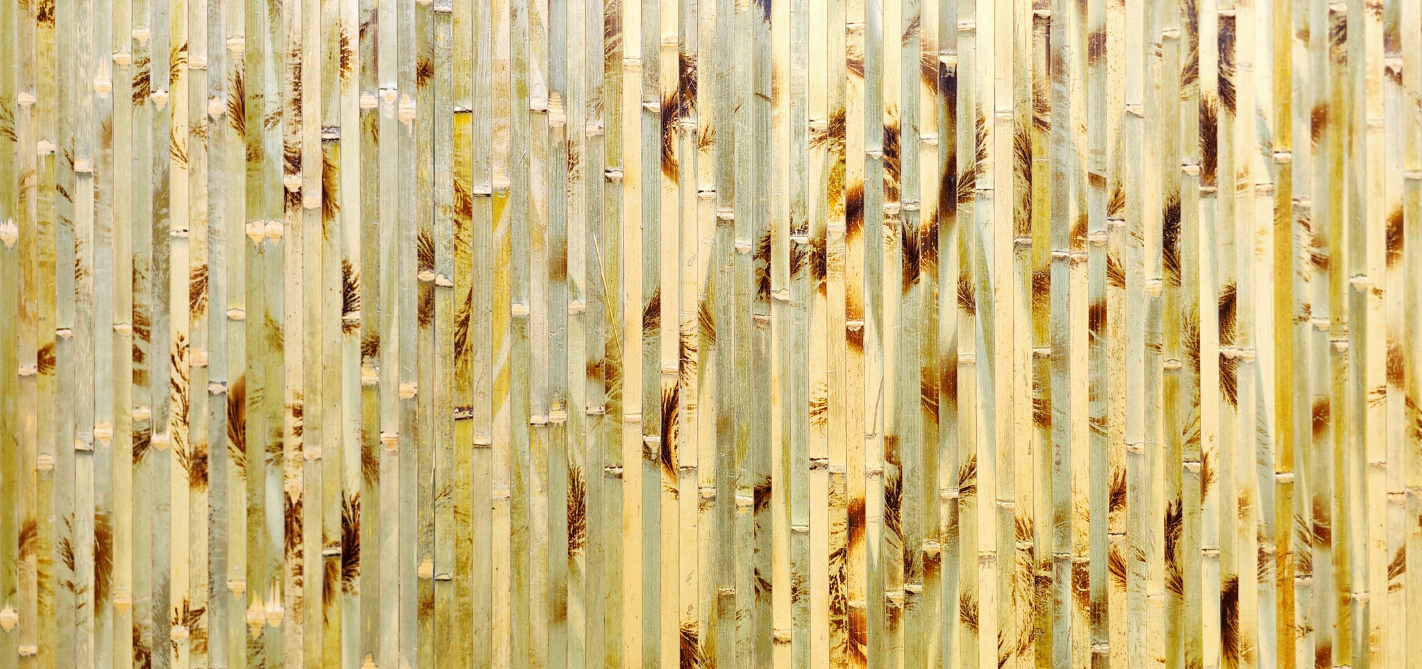 Bamboo Wall Paneling | Bamboo Toronto Store