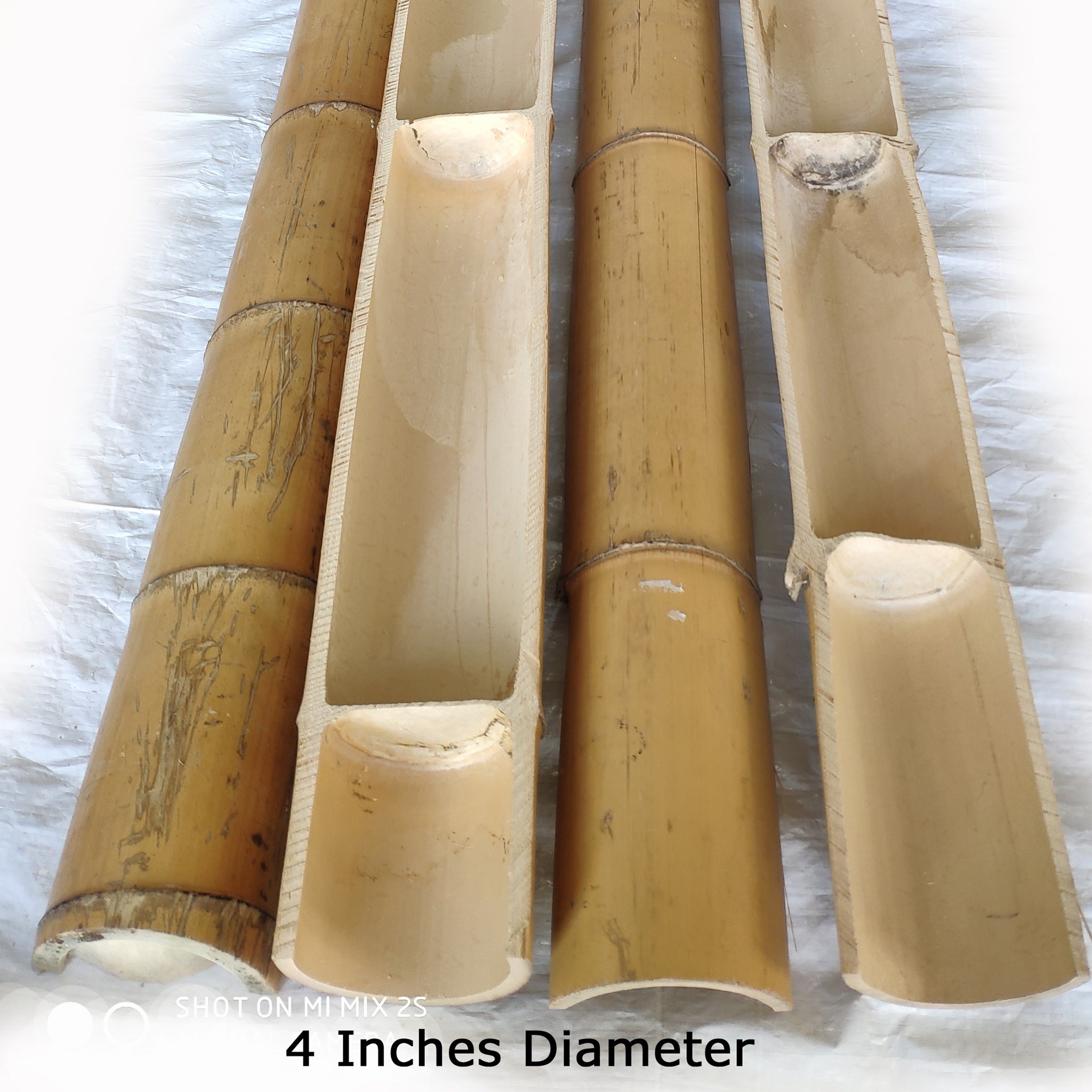 Bamboo Poles Canada – Natural & Tonkin Bamboo | Bamboo Toronto – Bamboo ...