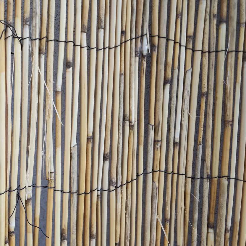 Reed Fencing – Bamboo Toronto Store
