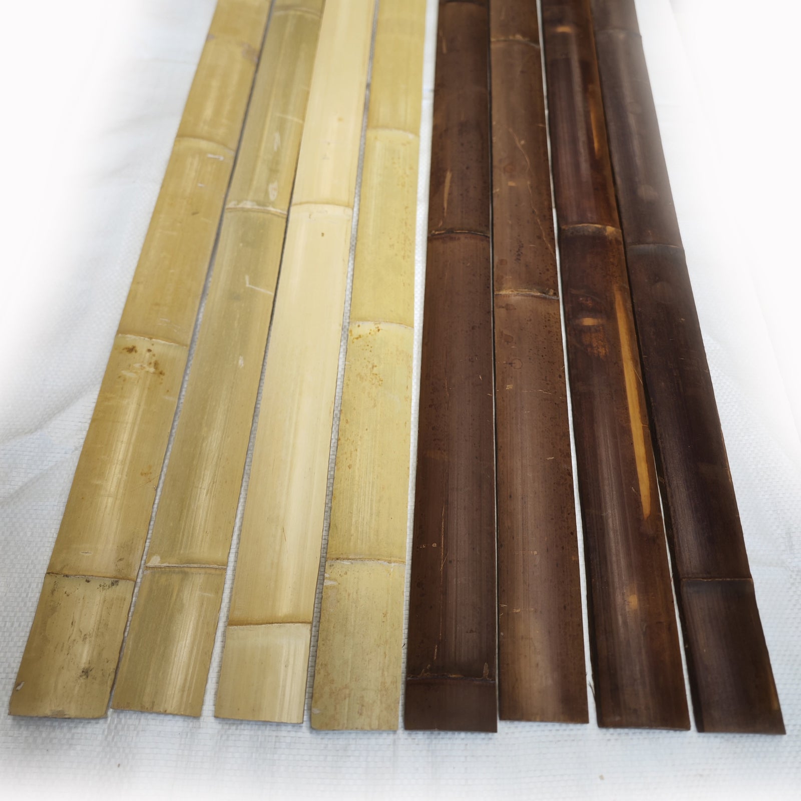 Bamboo Poles Canada – Natural & Tonkin Bamboo | Bamboo Toronto – Bamboo ...