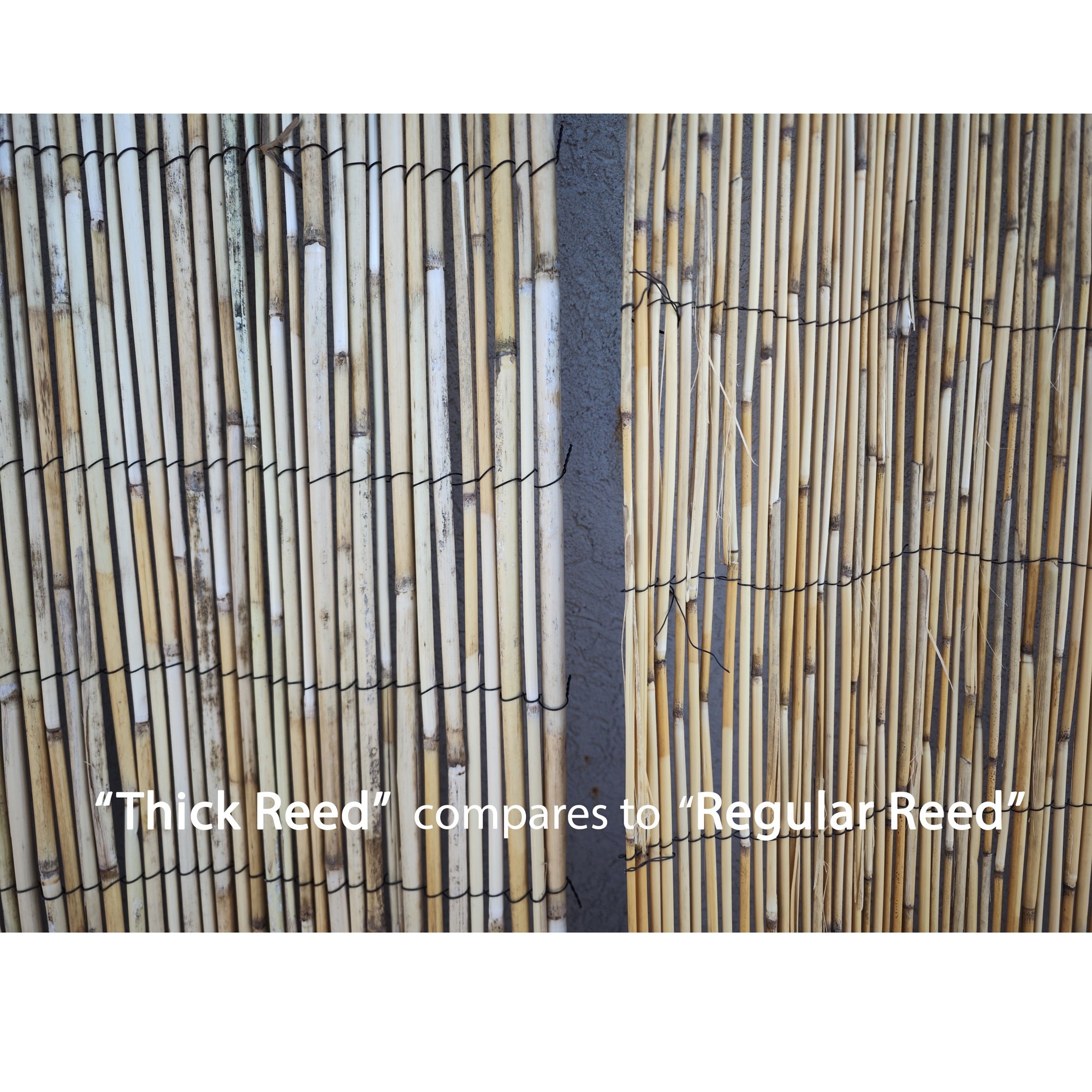 Reed Fencing – Bamboo Toronto Store