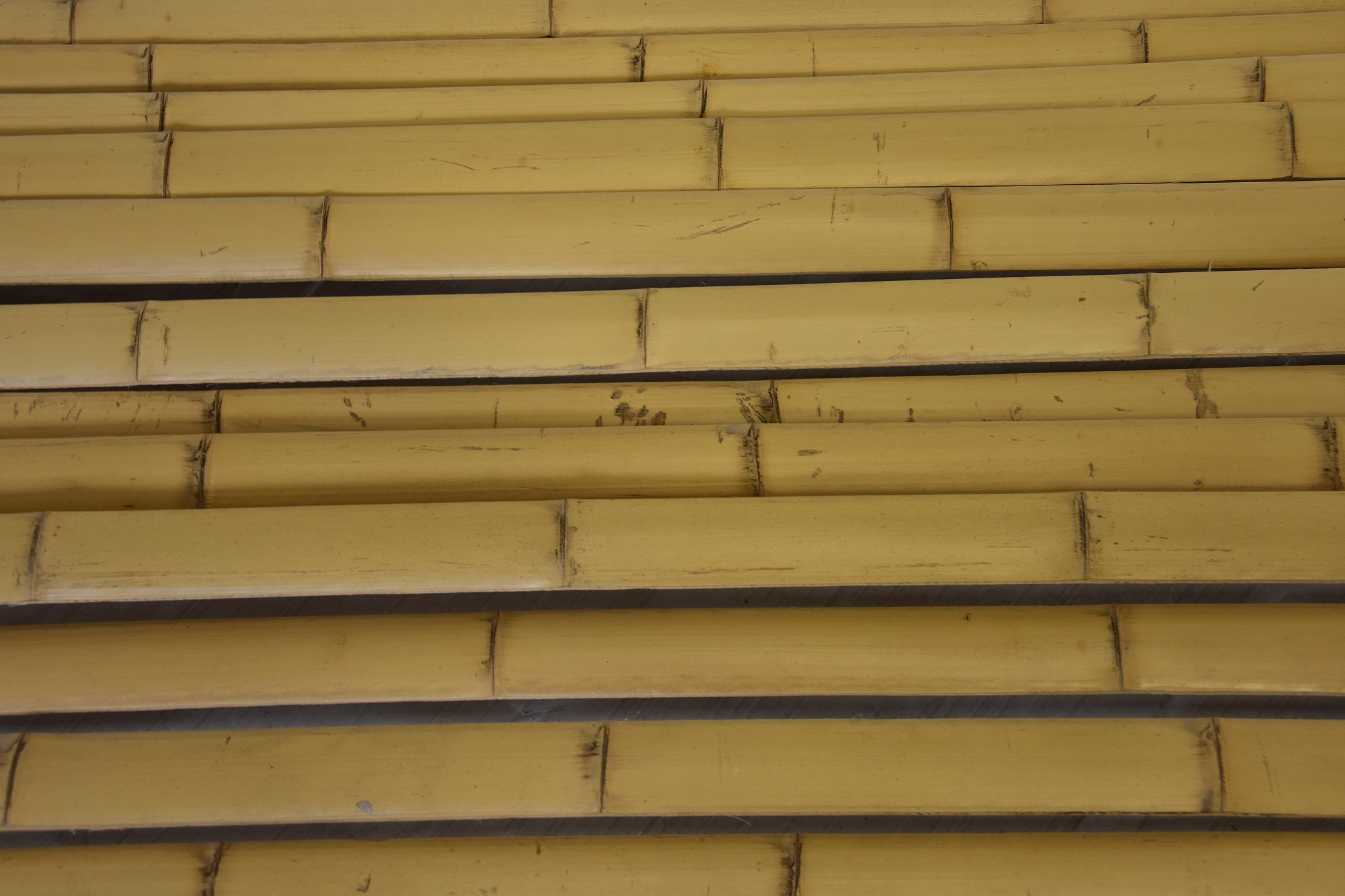 Bamboo Slats | Bamboo Toronto Store