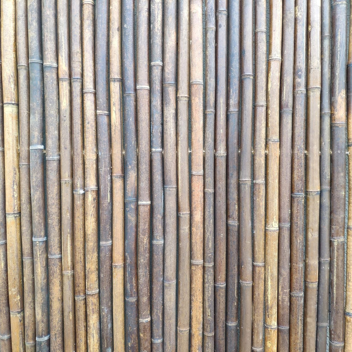 Dark Carbonized Bamboo Fencing– Bamboo Toronto Store