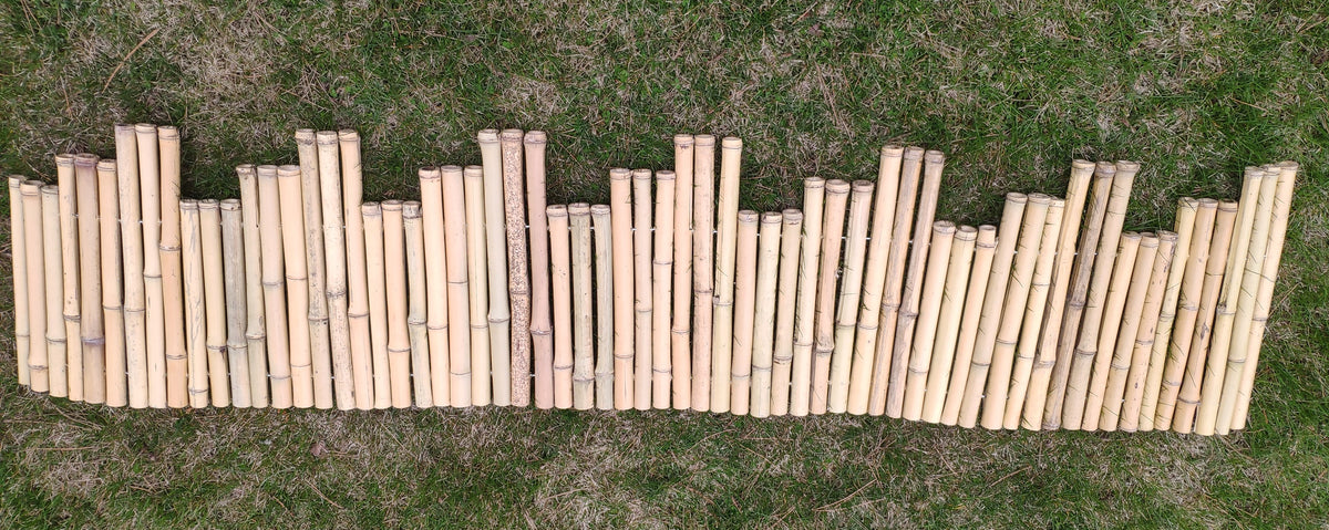 Products– Bamboo Toronto Store