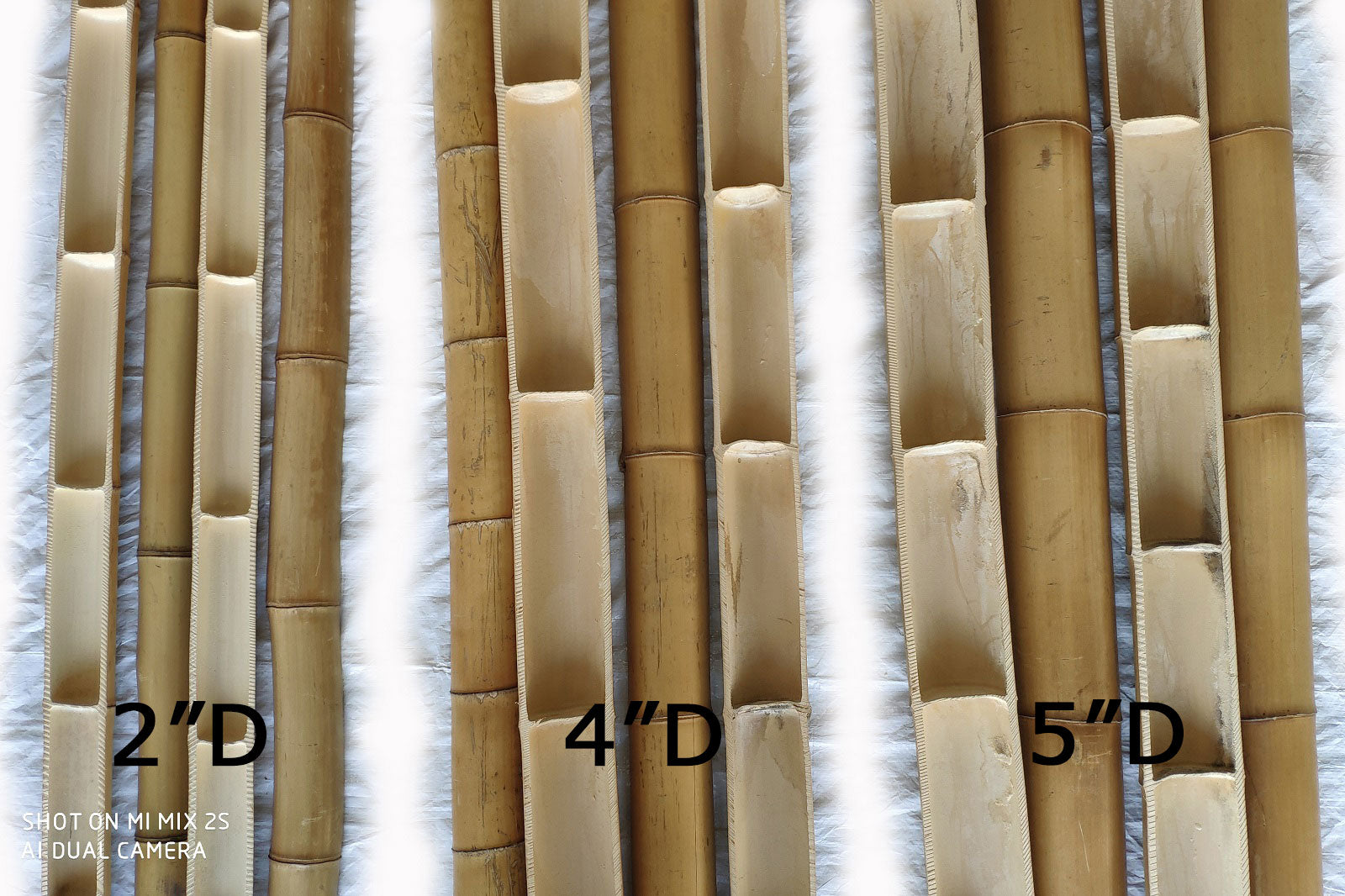 Bamboo Half Round Poles - Bundle | Bamboo Toronto Store