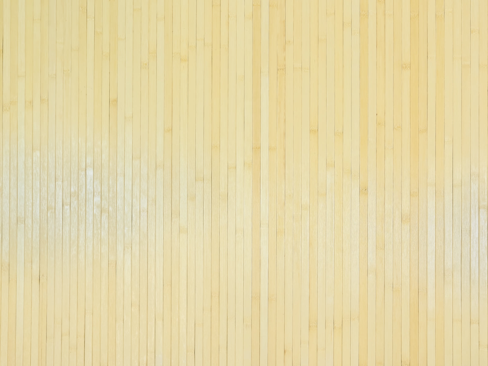 Bamboo Wall Paneling | Bamboo Toronto Store