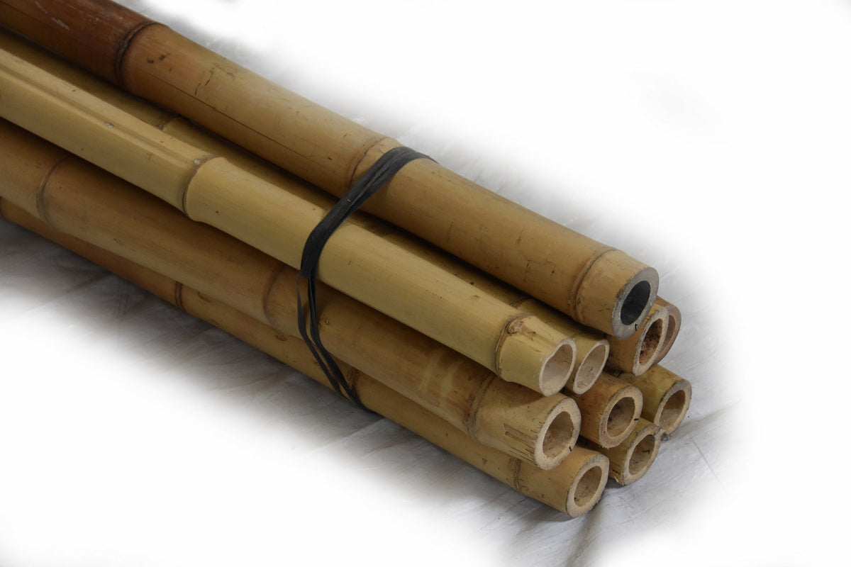 Moso Bamboo Pole 2"D x 10' L Bundle – Bamboo Toronto Store
