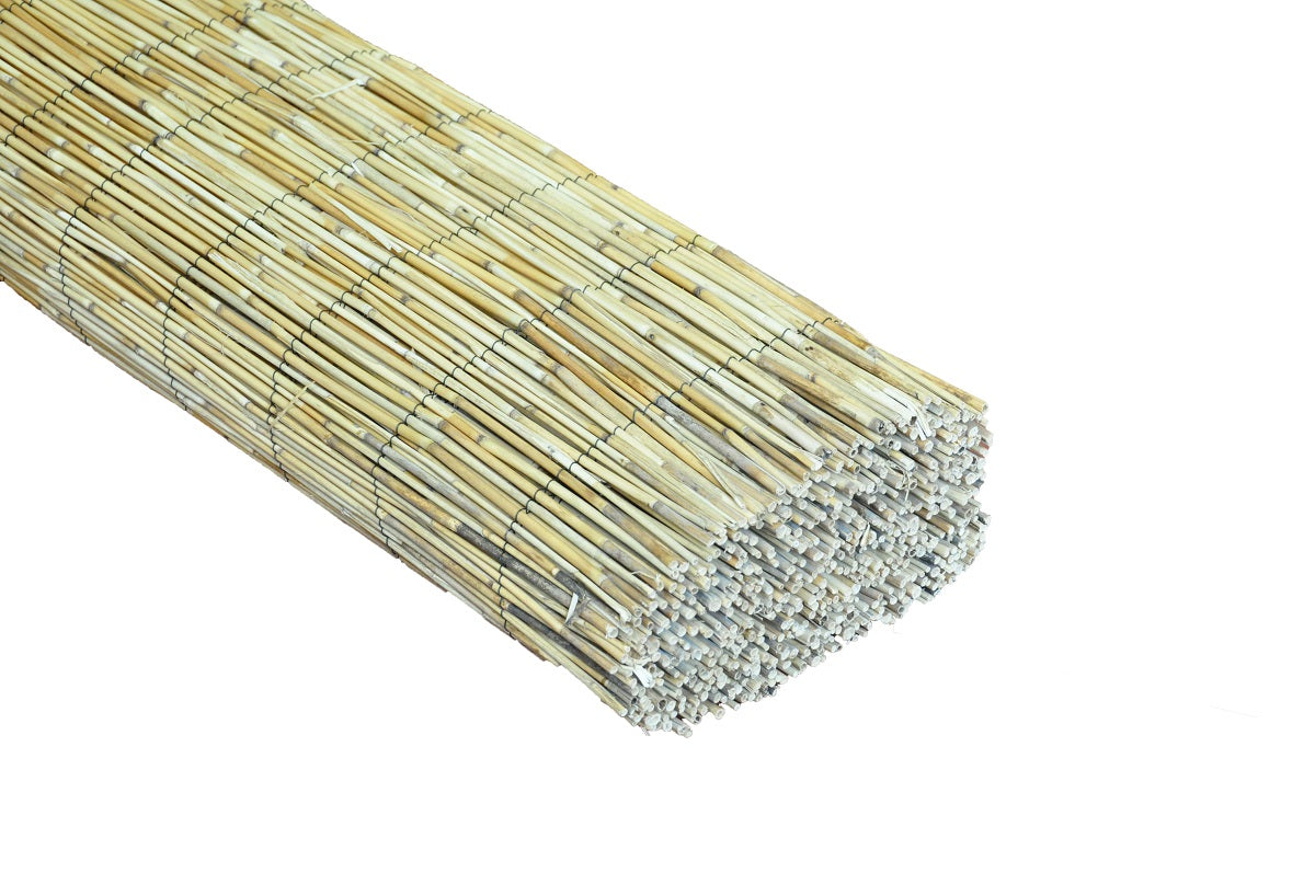 Reed Fencing | Bamboo Toronto Store