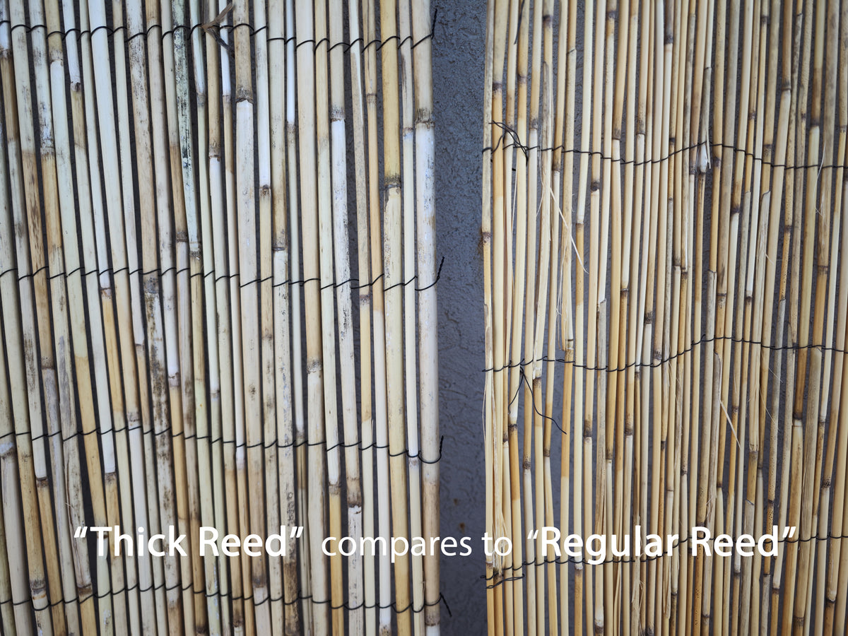 How To Treat Reed Fencing at Antonio Fore blog