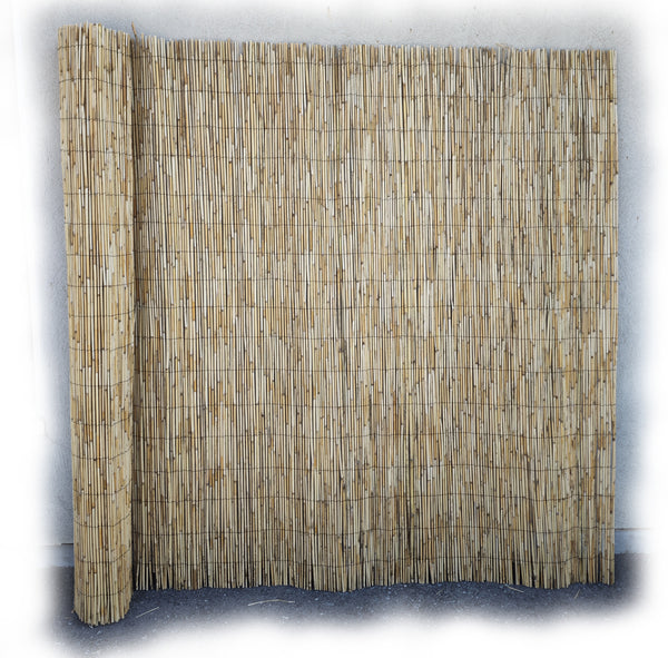 Thick Reed Fencing 6'H x 16'L | Bamboo Toronto Store